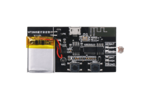 Greeting Card Sound Module - WayTronic Sound Chip