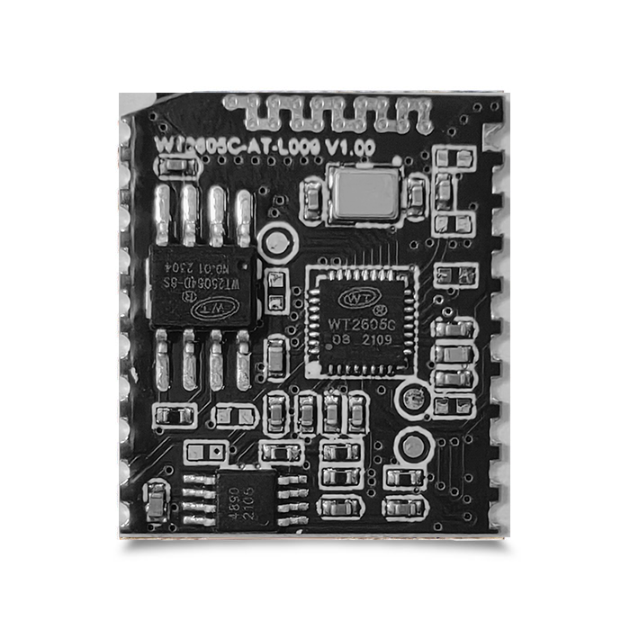 WT2605B05-Module Data - WayTronic Sound Chip