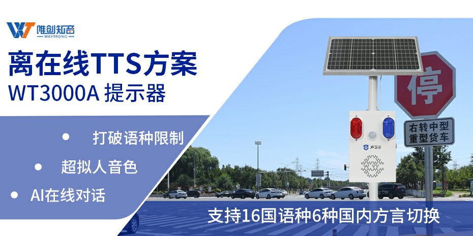 Voice prompter-WT3000A offline and online TTS solution-breaking ...